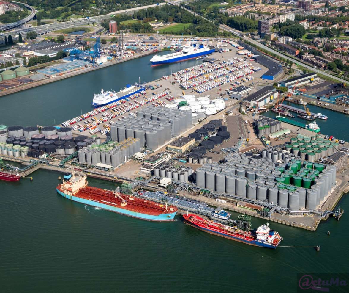 Minder drugs onderschept in Rotterdamse haven in 2024